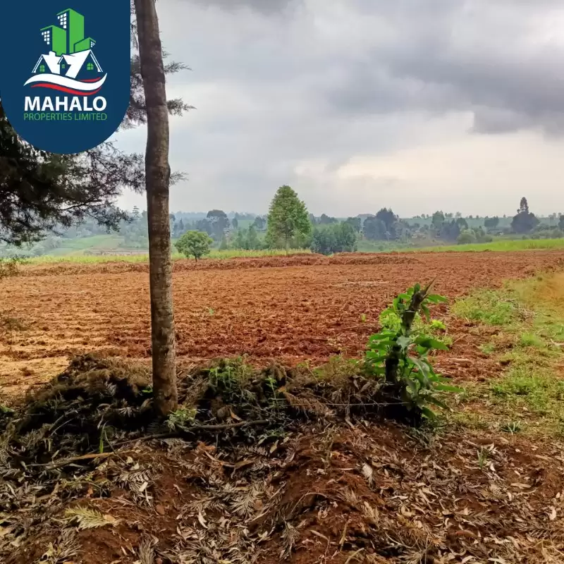 1 acre land for sale in Kiambu Kimorori estate Riara ridge in Kiambu ...