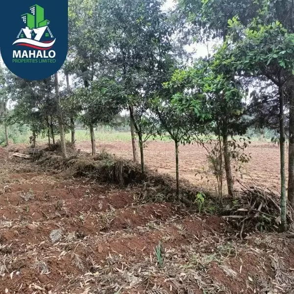1 acre land for sale in Kiambu Kimorori estate Riara ridge in Kiambu ...