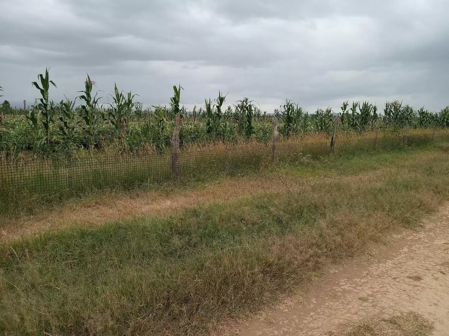 100 acre land for sale in Nyeri Narumoru in Naro Moru, Kenya | Propscout
