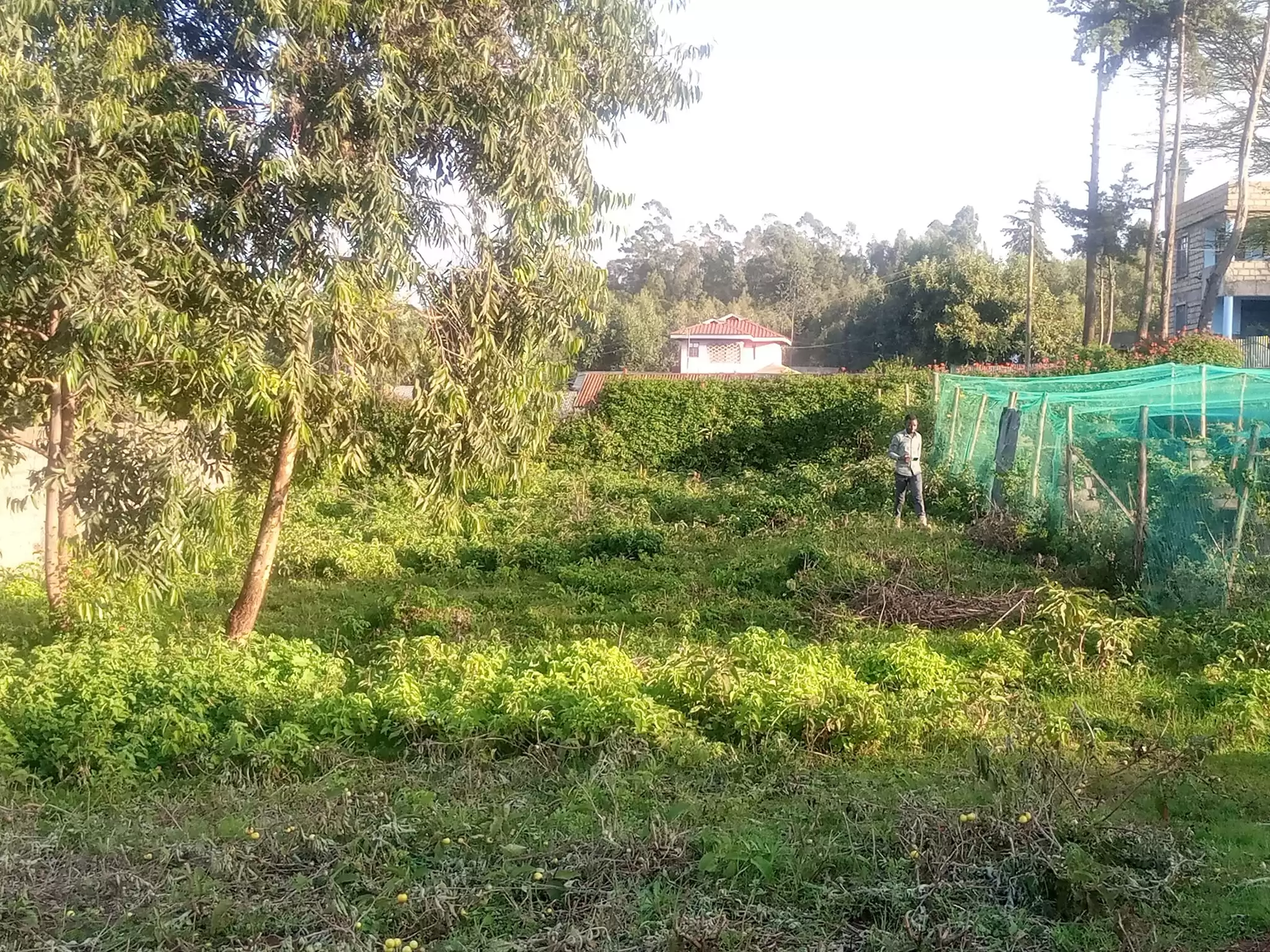 100 By 100 Plot For Sale In Kikuyu Gikambura In Kikuyu Kenya Propscout