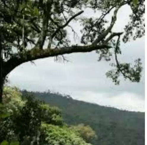 Land for sale in Kilgoris Transmara Narok in Kilgoris, Kenya | Propscout