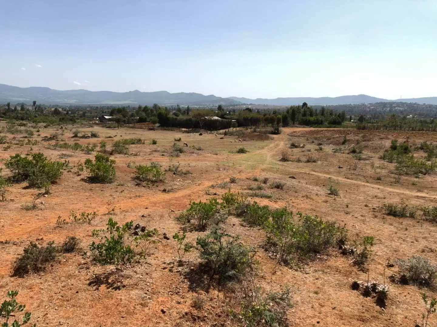 Land for sale in Nanyuki next to Marumati in Nanyuki, Kenya | Propscout