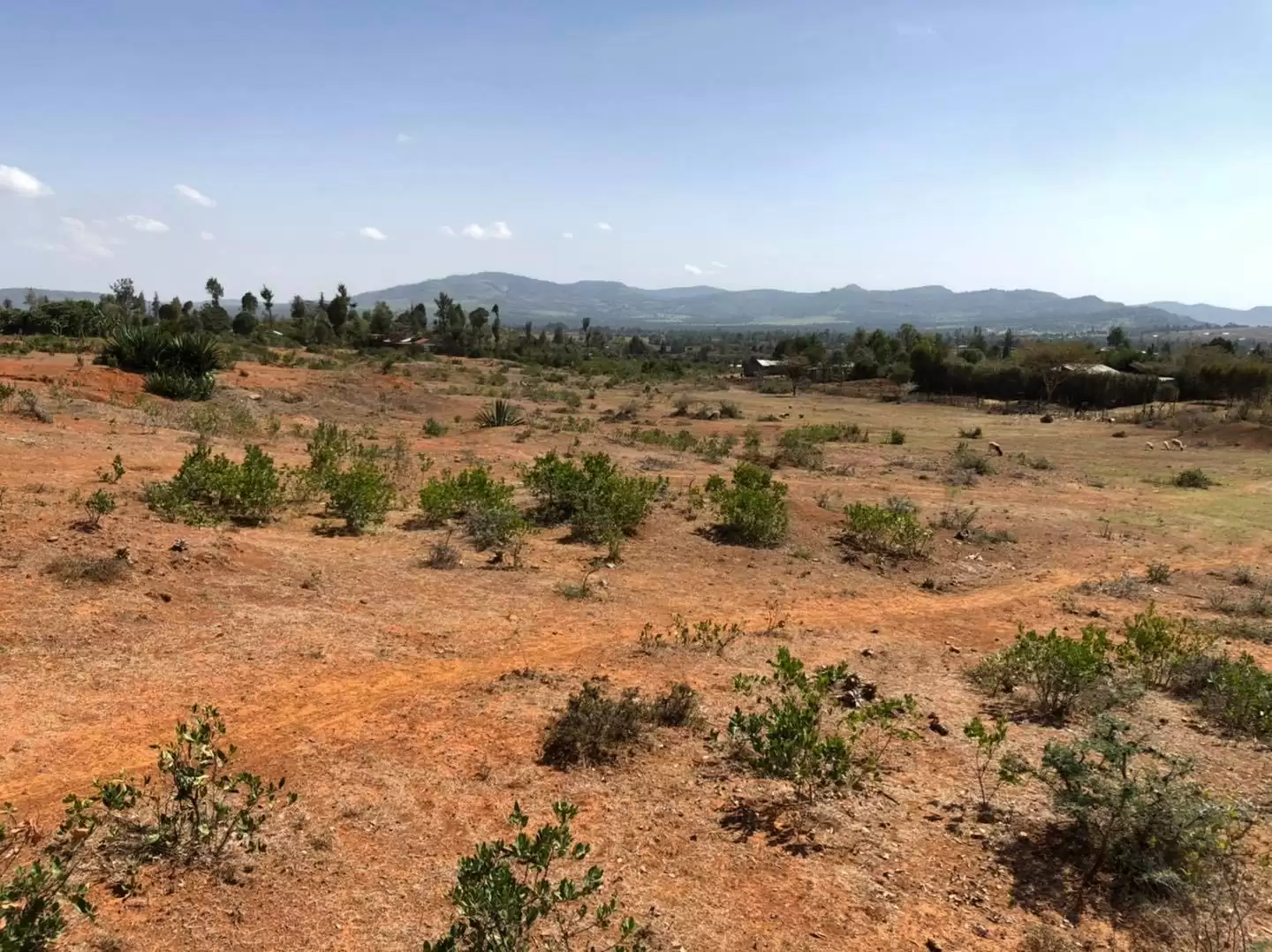Land for sale in Nanyuki next to Marumati in Nanyuki, Kenya | Propscout